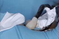 China Teflon Disposable Dental Matrix Band Systems Anterior M7 for sale
