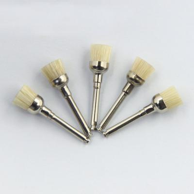 China Preventative Dental Prophy Brush Bristle White Color Hard Bowl  Cup Shape Latch for sale