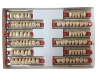 China High Strength Artificial Dental Acrylic Resin Teeth With High Biocompatibility for sale