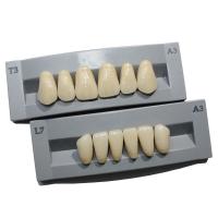 China High Durability Artificial Acrylic Teeth VITA High Stain Impact Resistance Heraeus Form for sale