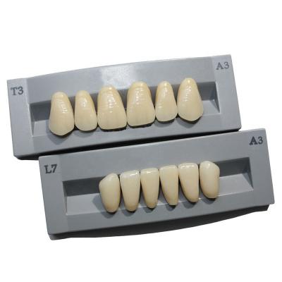 China High Durability Artificial Acrylic Teeth VITA High Stain Impact Resistance Heraeus Form for sale