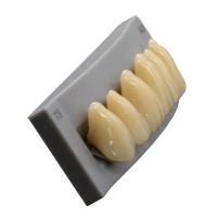 China High Durability Artificial Acrylic Teeth VITA High Stain Impact Resistance Heraeus Form for sale