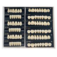 China High Stain Resistance Artificial Acrylic Teeth Made Of Acrylic Resin Composite for sale