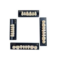 China High Stain Resistance Artificial Acrylic Teeth Made Of Acrylic Resin Composite for sale