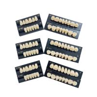 China High Flexibility Composite Dental Acrylic Resin Teeth Standard Size for sale