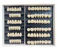 China High Flexibility Composite Dental Acrylic Resin Teeth Standard Size for sale
