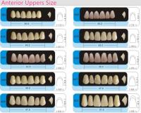 China 3 Layers Acrylic Resin Composite Teeth Denture Standard Size VITA Shade for sale