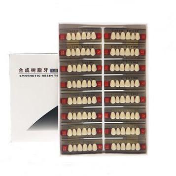 China Easy to Use Dental Acrylic Resin Teeth with High Stain Resistance for sale