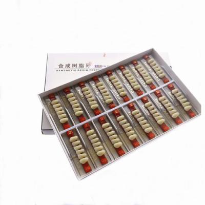 China High Durability Acrylic Resin Composite Dental Teeth for sale