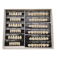 China High Durability Acrylic Resin Composite Dental Teeth for sale