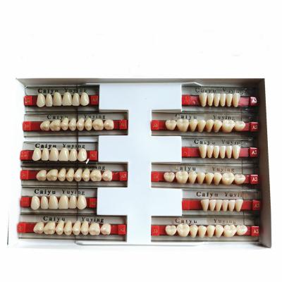 China Heraeus Dental Acrylic Resin Teeth High Stain Resistance Durability for sale