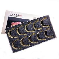 China High Wear Resistance Acrylic Resin Artificial Dentition Composite VITA System for sale