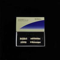China Acrylic Synthetic Polymer Resin Teeth Two Layers Dental Composite False Teeth for sale