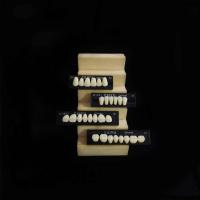 China Acrylic Synthetic Polymer Resin Teeth Two Layers Dental Composite False Teeth for sale