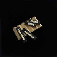 China High Stain Resistance Dental Acrylic Resin Teeth For VITA System Durable Long Lasting for sale