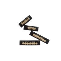 China High Durability Dental Artificial Teeth Supported By VITA System Technology for sale