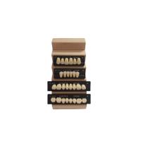 China High Strength Dental Acrylic Resin Teeth Compatible With VITA System for sale
