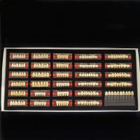 China 2 Layers Synthetic Polymer Resin Teeth Dental False Teeth Box High Strength for sale
