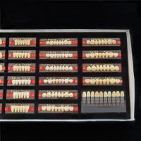 China 2 Layers Synthetic Polymer Resin Teeth Dental False Teeth Box High Strength for sale