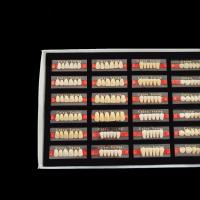 China 2 Layers Synthetic Polymer Resin Teeth Dental False Teeth Box High Strength for sale