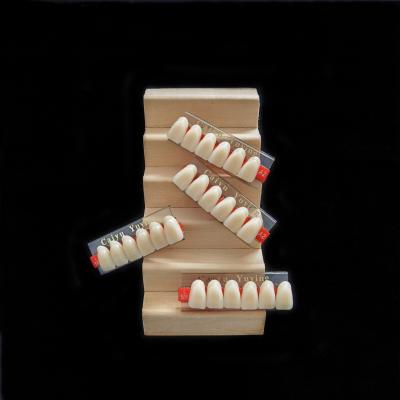 China High Strength Dental Artificial Acrylic Resin Composite Teeth Long Lasting Stain Resistance for sale