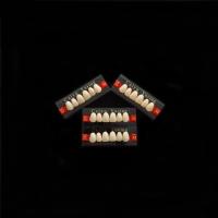 China CE ISO13485 2 Layers Acrylic Resin Teeth Dental Composite False Teeth Dentadura Anteriors Upper, (6x1)x16, 503# for sale