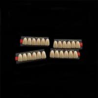 China Stain Resistance Dental Artificial Teeth Acrylic Resin Incisor 2x1 Manufacturer CE ISO Composite Dentadura for sale