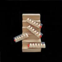 China Stain Resistance Dental Artificial Teeth Acrylic Resin Incisor 2x1 Manufacturer CE ISO Composite Dentadura for sale