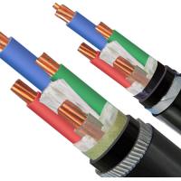 China 10mm2 N2X2Y LSZH Sheath Low Smoke Halogen Free Cable Class 2 Conductor DJXcable Armoured Cable for sale