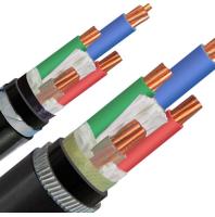China Class 2 10mm2 Armoured Cable LSZH Sheath Low Smoke Halogen Free Cable N2X2Y DJXCable for Electrical Wiring Projects for sale