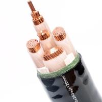 China Safe Reliable Electrical Low Smoke Zero Halogen Cable LSZH N2X2Y 10mm2 Class 2 for sale