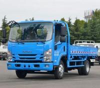 China Isuzu 4X2 General Cargo Truck Small General Cargo Truck for sale