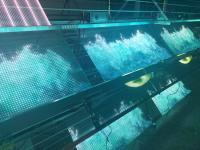 China High Brightness Transparent Display Screen P6 Full Color Glass Wall LED Screen for sale