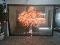 China Transparent LED Screen High Brightness Display Clear Glass Window LED Video Wall Flexible Panel for sale