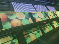 China Indoor advertising Flexible Transparent Display Screen P6 LED Display Film for sale
