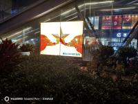 China Full Color Flexible Transparent LED Film P8 240mm×1000mm For Commercial Advertisement Display for sale