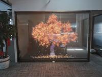 China Flexible Ultra Transparent Film P10 Led Screen Indoor Full Color High Transparency Glass Video Display for sale