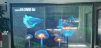 China Ultra Thin Adhesive Glass Window LED Display , Outdoor Flexible LED Film for sale