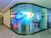 China P8 Size Modern Advertising Flexible Transparent Film LED Screen for Indoor Shopping Malls for sale