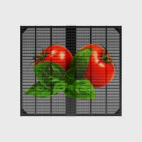 China High Brightness P3.91 SMD1921 See Through Full Color RGB Mesh Grille Large Indoor Transparent Glass LED Display Panel Screen for sale