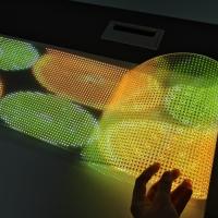 China Indoor P6 Transparent Led Film Display on Window Flexible Transparent Video Wall Soft Film Transparent Led Display Screen for sale