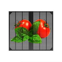China High Quality Indoor P3.9/7.8 LED Grille Screen Display Screen Full-Color Window Glass for Advertising Mall for sale