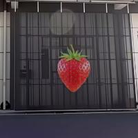 China LED Transparent Grille Screen Indoor Advertising Display  Glass Window Video Playing LED Grille Film for sale