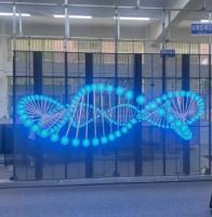 China Led Screen High Transparency Curtain Grille Glass Window LED Mesh Display for sale
