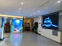 China Flexible Transparent P3.91 Holographic 3D LED Film Screen Slim High-Brightness Advertising Display for Glass Window for sale