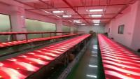 China P7.82 Luxury LED Display Screen Holographic LED Screen 5000CD Super Bright Glass Advertising Screen Full Color Retail Store  Advertising Screen for sale