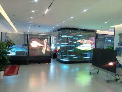 China 2.5mm Holographic LED Screen With Transparency Flexible Clear Imaging Easy Installation For Shopping Malls for sale