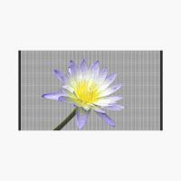 China Indoor P10 RGB Full Color LED Holographic Screen Transparent for Advertisement Large-Scale Exhibitions for sale