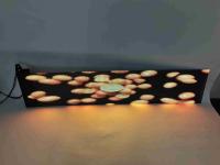 China Indoor Vstar P20 Strips Flexible Self Adhesive Holographic Invisible Transparent Led Reefilm Display Screen for sale