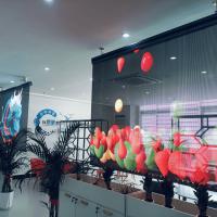 China High Brightness P3.9 Double-side LED Holographic Display 3000cd Lightweight for Easy Setup for Retail for sale